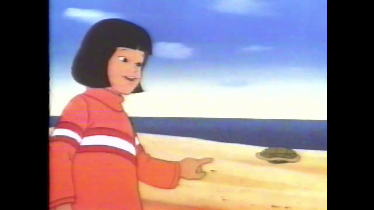 Seabert Episode 20 - Poached Turtle Eggs - YouTube