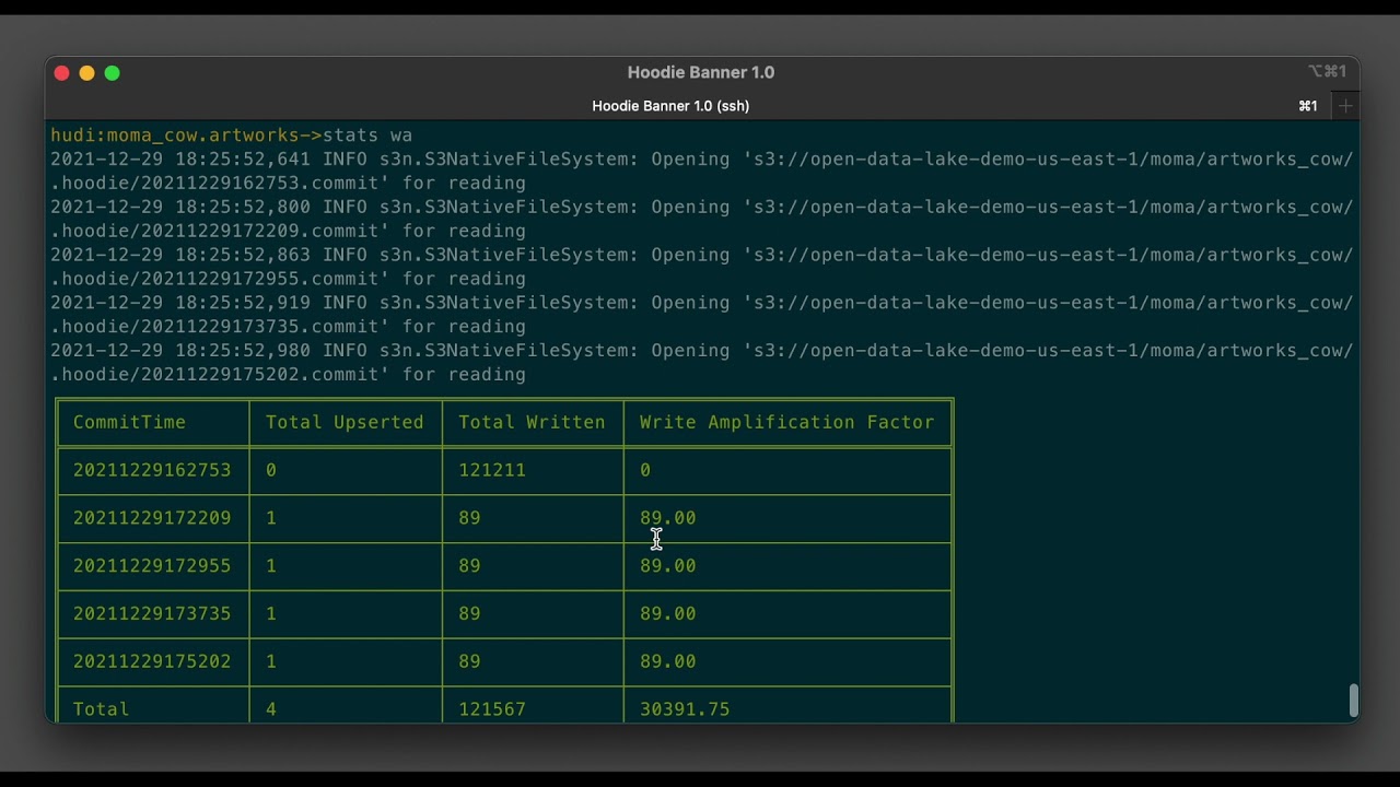 Using the Hudi CLI from EMR to Inspect Hudi CoW and MoR Table Types ...