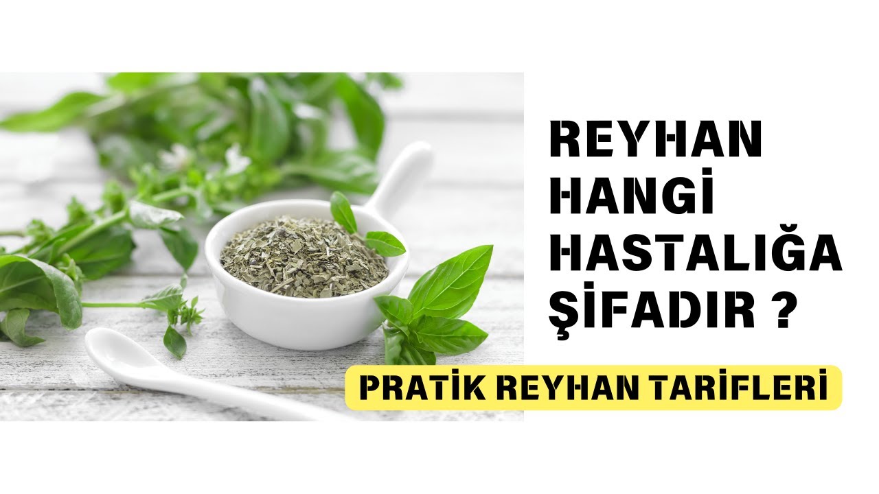 Reyhan Bitkisi Hangi Hastalıklara İyi Gelir? | Reyhanın Faydaları ve ...