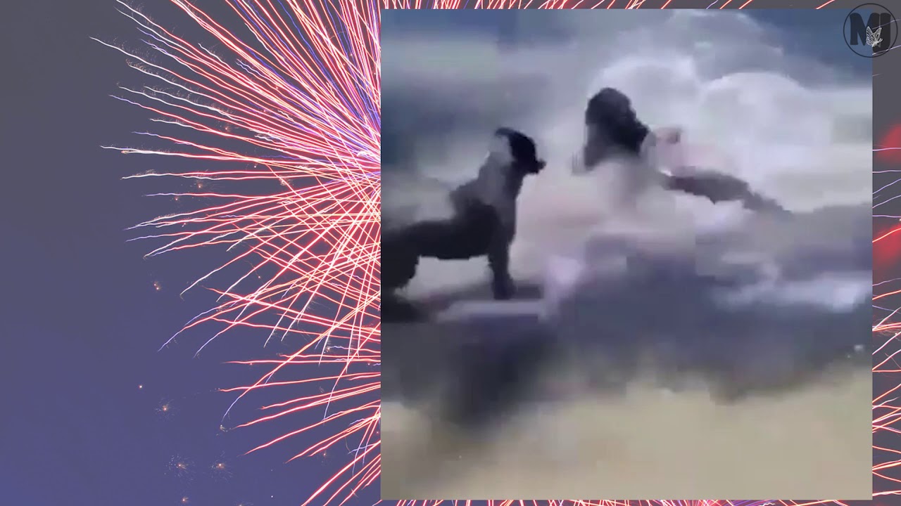 Florida Man Fourth of July Compilation 2019 - YouTube