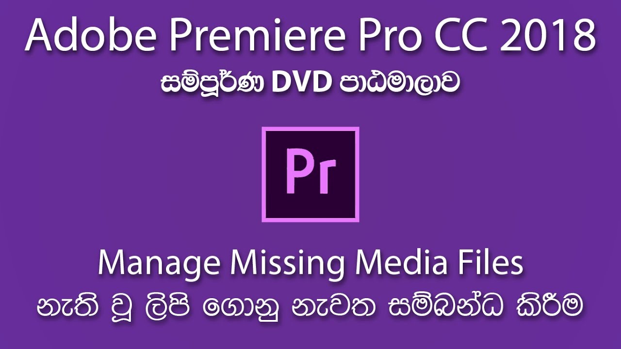 Manage Missing Media Files in Adobe Premiere Pro | Sinhala (සිංහල ...