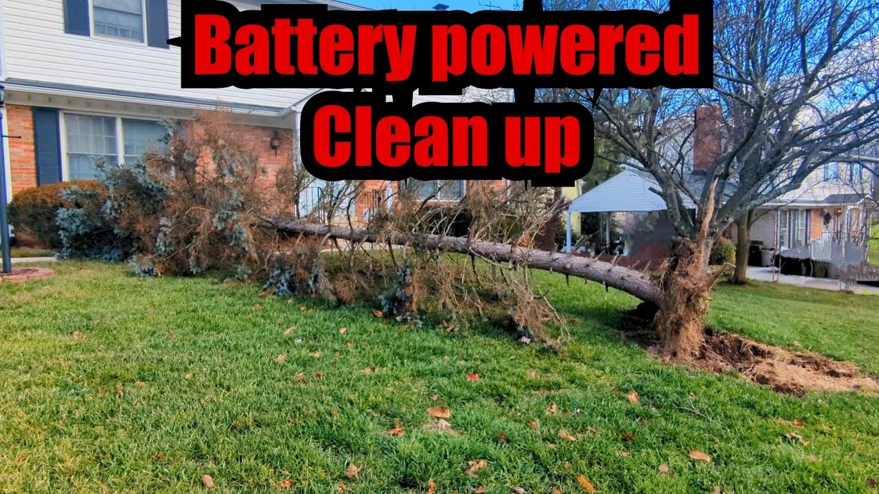 Battery powered tree cleanup - YouTube