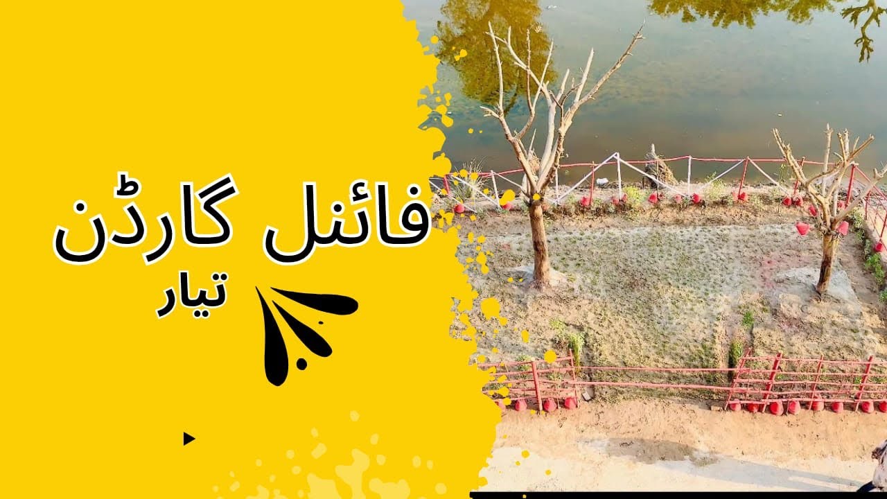 The final look of garden |Hammad family | 2025| vloglife ⁠ - YouTube