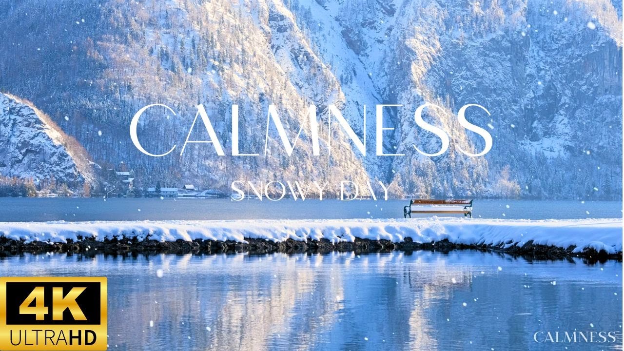Snow Storm White Noise Background With Beautiful And Calm Snow Falling ...