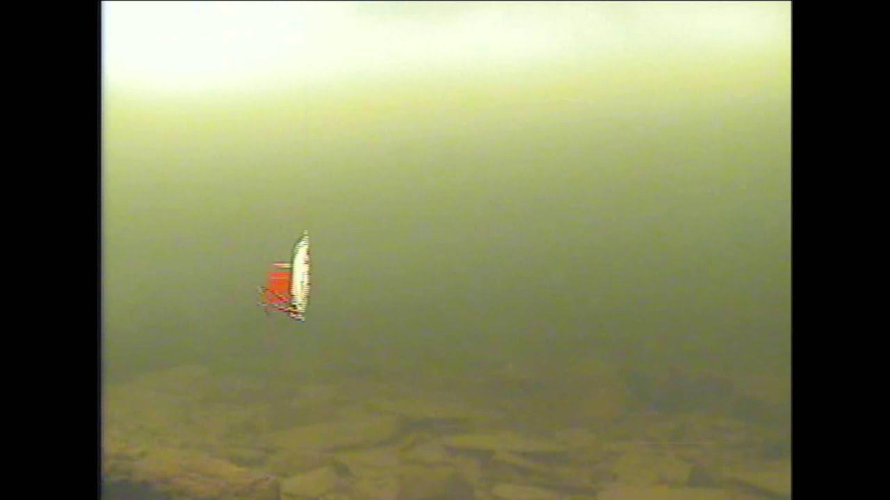 Underwater UV Buck Shot Rattle Spoon - YouTube