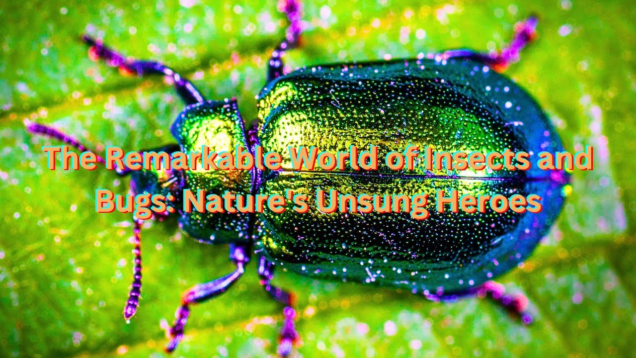 The Remarkable World of Insects and Bugs: Nature's Unsung Heroes - YouTube