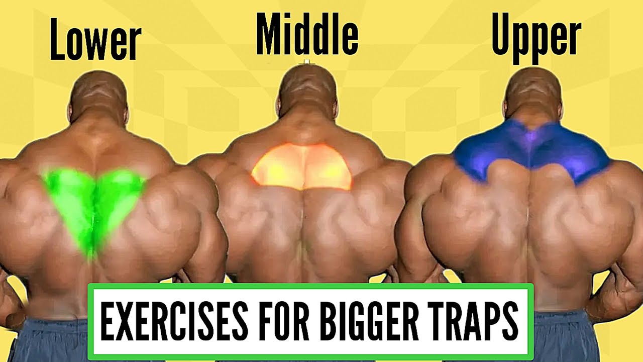 Latihan Traps Bawah Traps Tengah dan Traps Atas di Gym - YouTube