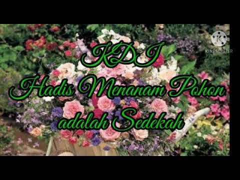 Hadits Menanam Pohon adalah Sedekah - YouTube