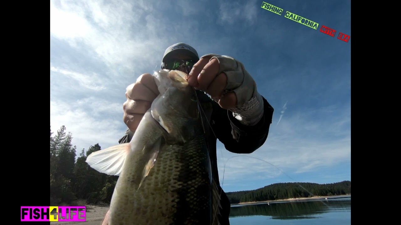 How to Fish / Fishing Sly Park California - YouTube