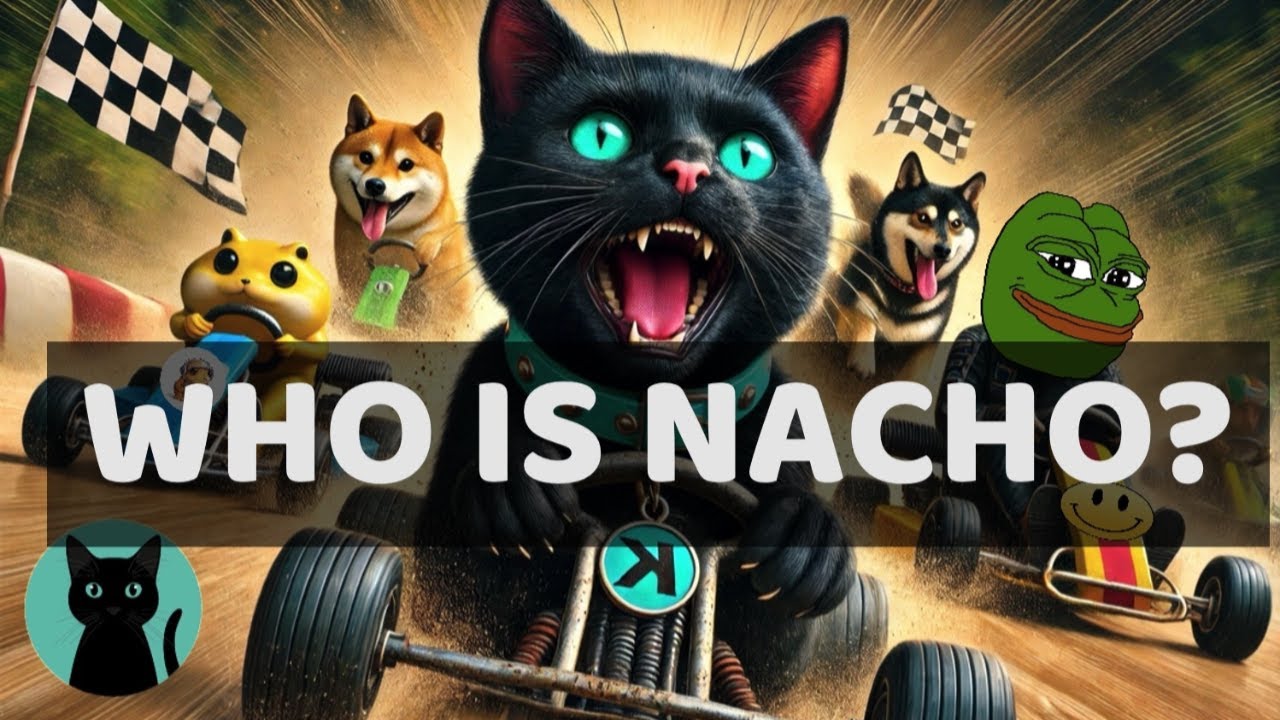 We Made a Crypto token for his Cat (Nacho the Cat KRC20) - YouTube