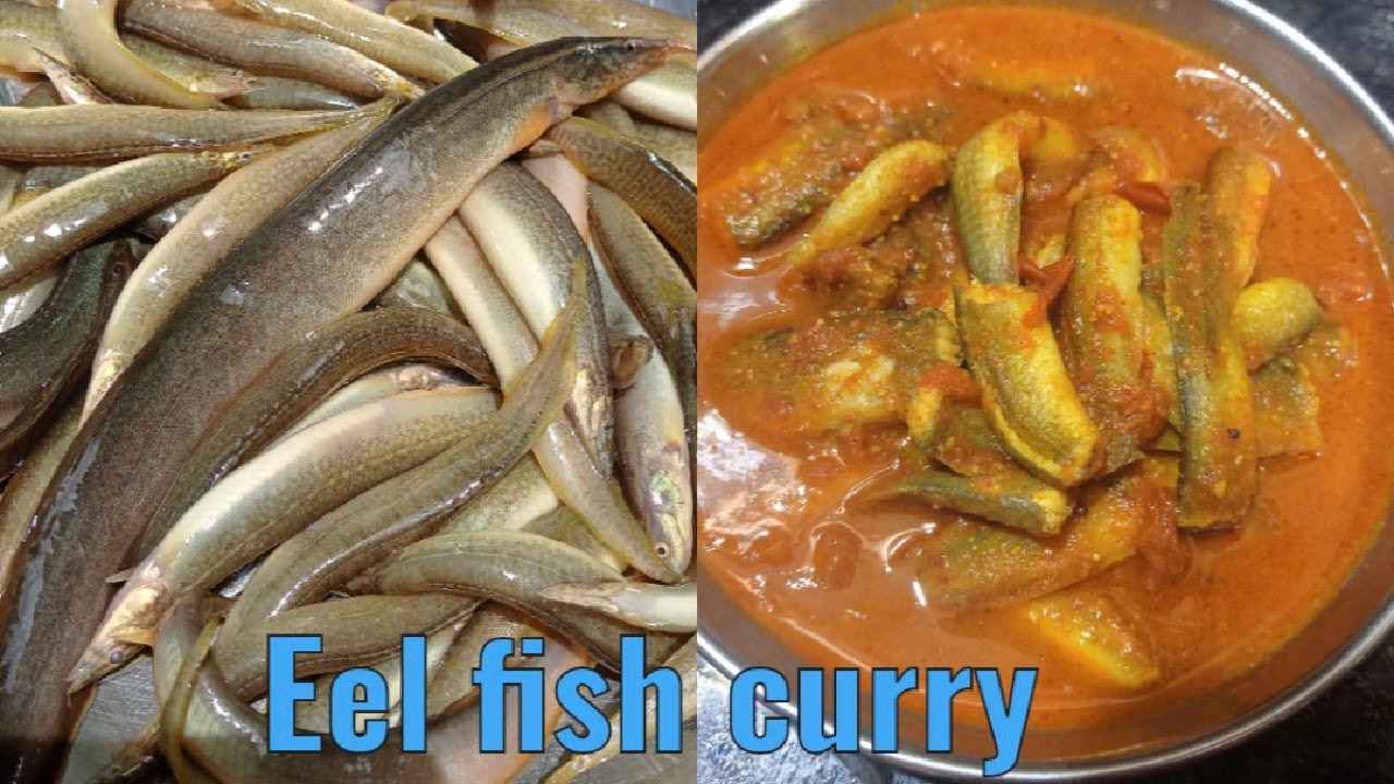 Small Eel fish curry साफ करने से लेकर पकाने तक / Todi fish # ...