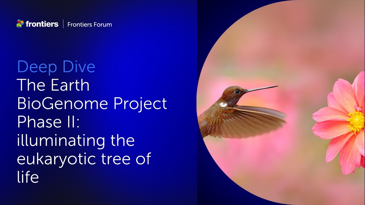 Harris Lewin & colleagues | The Earth BioGenome Project Phase II ...