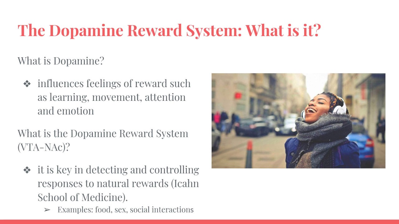 The Dopamine Reward System - YouTube