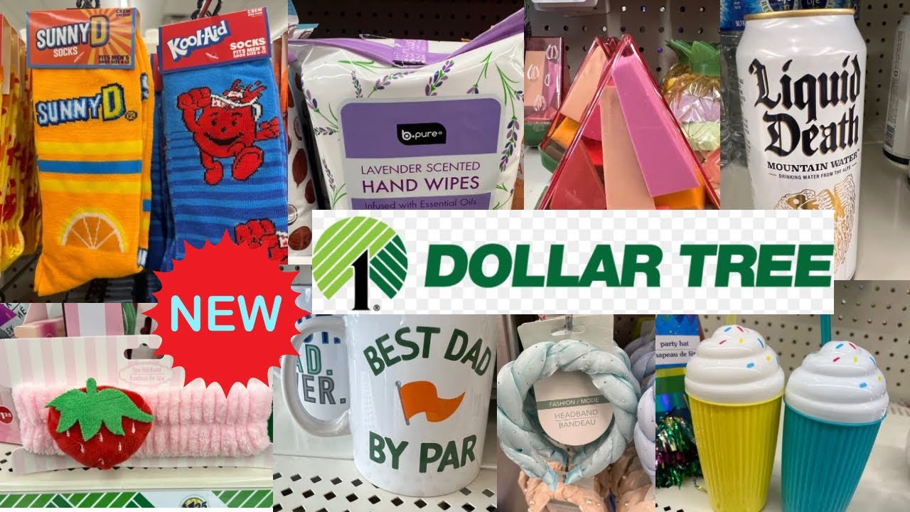 DOLLAR TREE | DOLLAR TREE NEW ITEMS | DOLLAR TREE MUST HAVES | WHAT TO ...