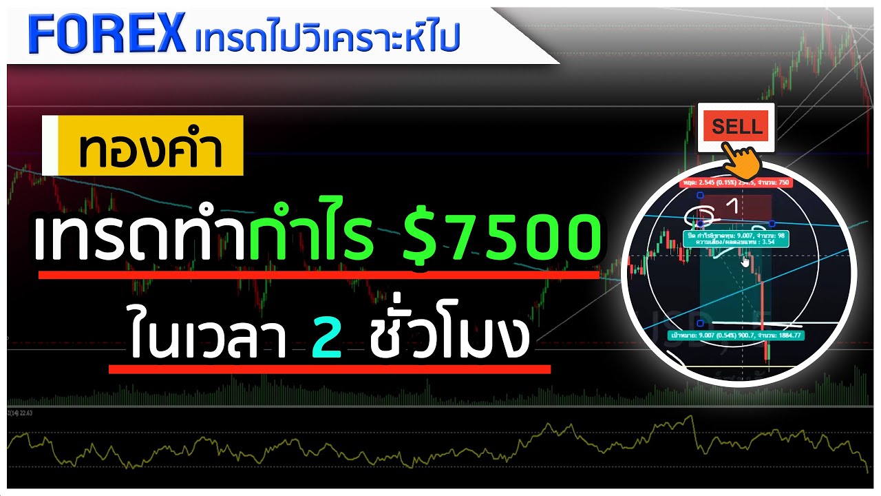 FOREX เทรดไปวิเคราะห์ไป ฟันกำไรทองคำ +7500$ ใน 2 ชั่วโมง - YouTube