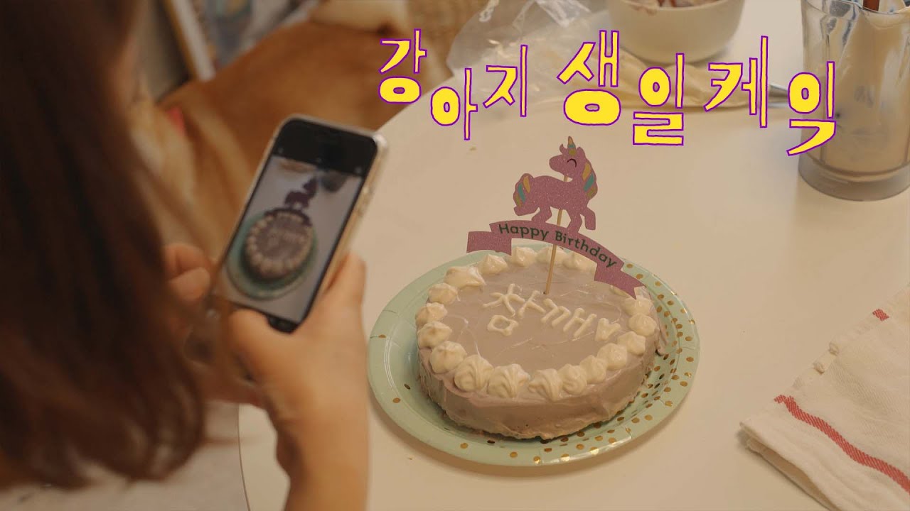 My Shiba Inu puppy's first birthday!🥳Sweet potato cake made by mom🎂 ...