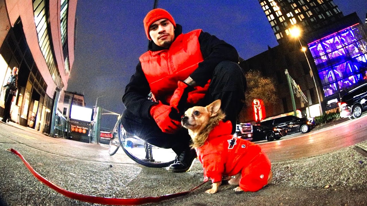 PERFORMATIVE MALE. - YouTube