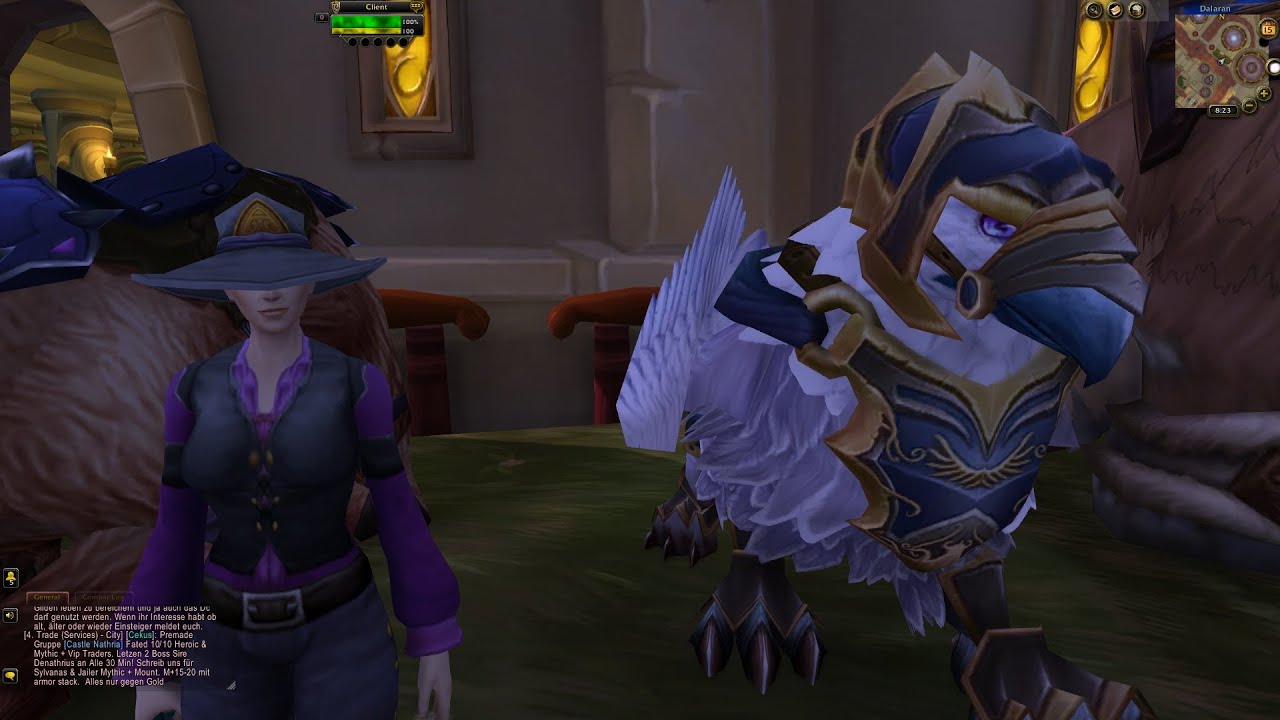 Armored Snowy Gryphon Vendor Location WoW WotLK Classic - YouTube