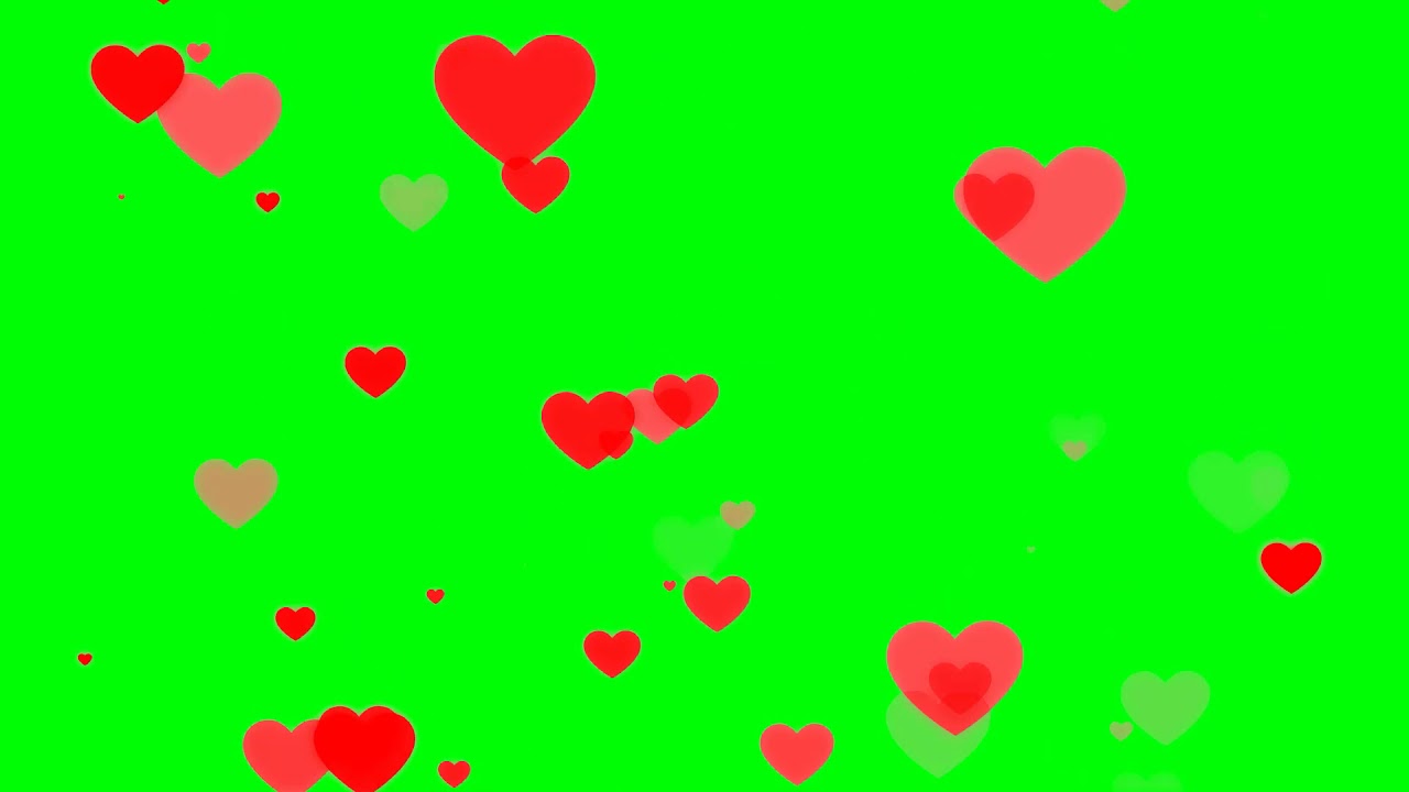 Falling Heart Effects | Green Screen Effects | Hiệu ứng nền xanh trái ...