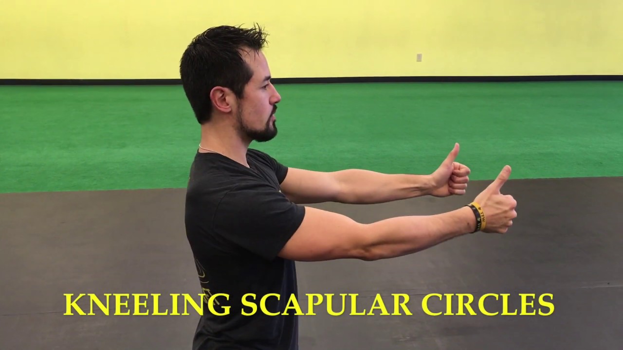 Kneeling Scapular Circles - YouTube