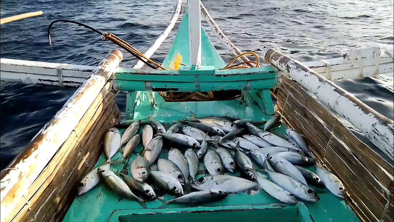 bira bira sa madaling araw ang daming isda /Gilbert fishing vlog - YouTube