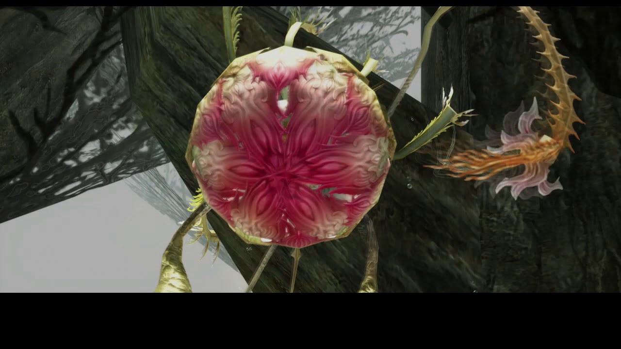 Final Fantasy XII (PS4) Rafflesia - YouTube