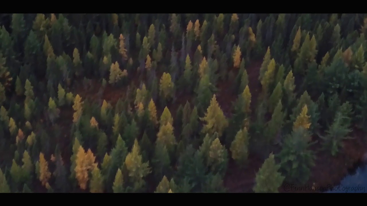 No CMP Corridor - YouTube