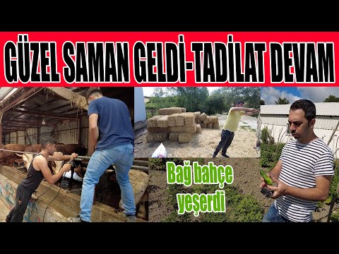 KURBANLIKLARIMIZIN SON HALİ  // BAĞ BAHÇE YAPILDI // TADİLATA DEVEM