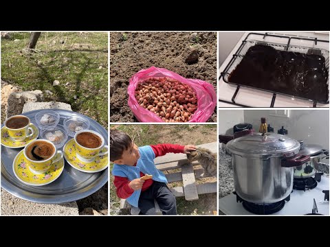 YENİ DÜDÜKLÜMÜ DENEDİM ✅MEMNUN KALDIM MI⁉️BAHÇEMİZE KIŞLIK SOĞAN EKTİK 🧅vlog