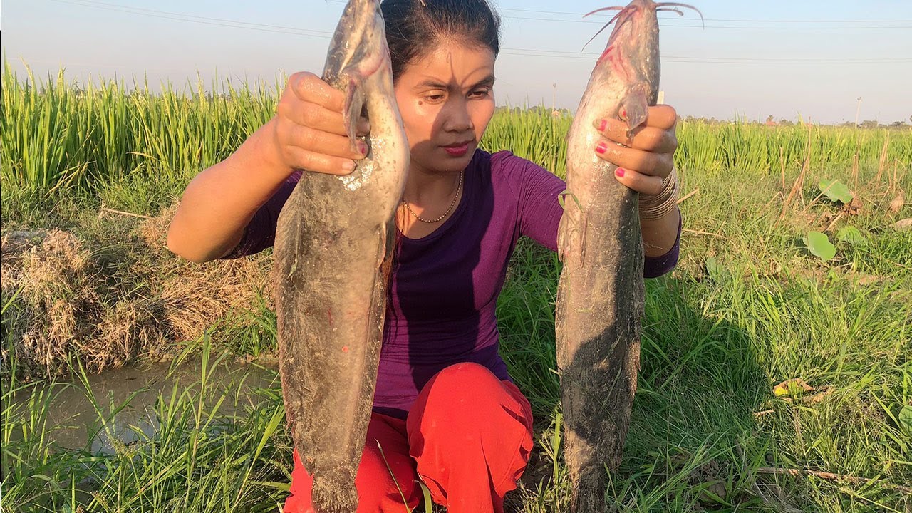 Best hand fishing - how to catch a lot of fish without any equipments ...