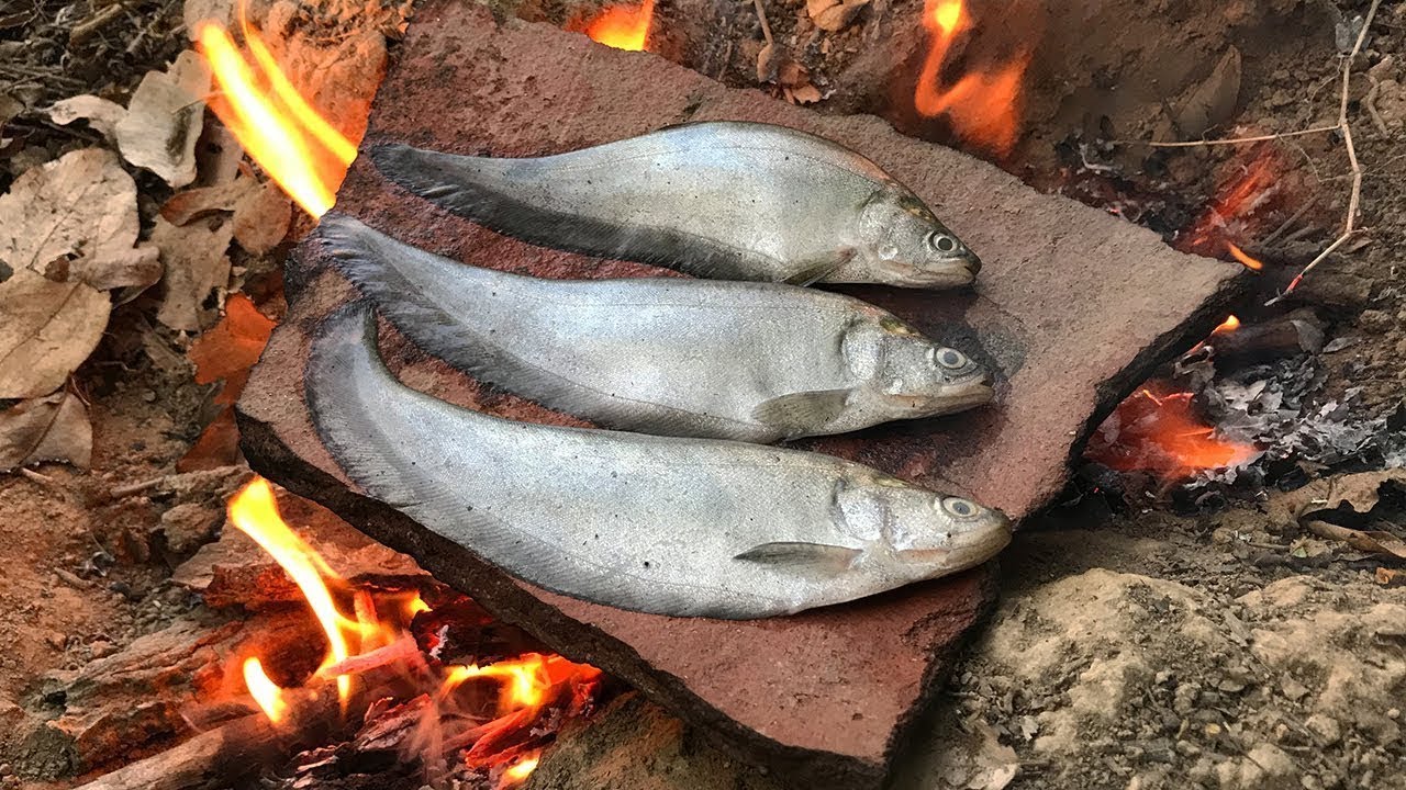 Primitive Survival Skill ; Learning to Grilled Fish in the Forest - YouTube