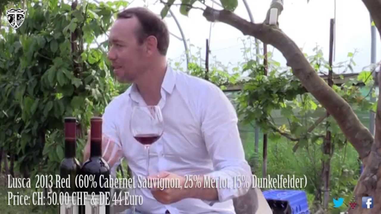 TLTV #28 English: Lusca 2013 Irish Red wine Tasting English ...