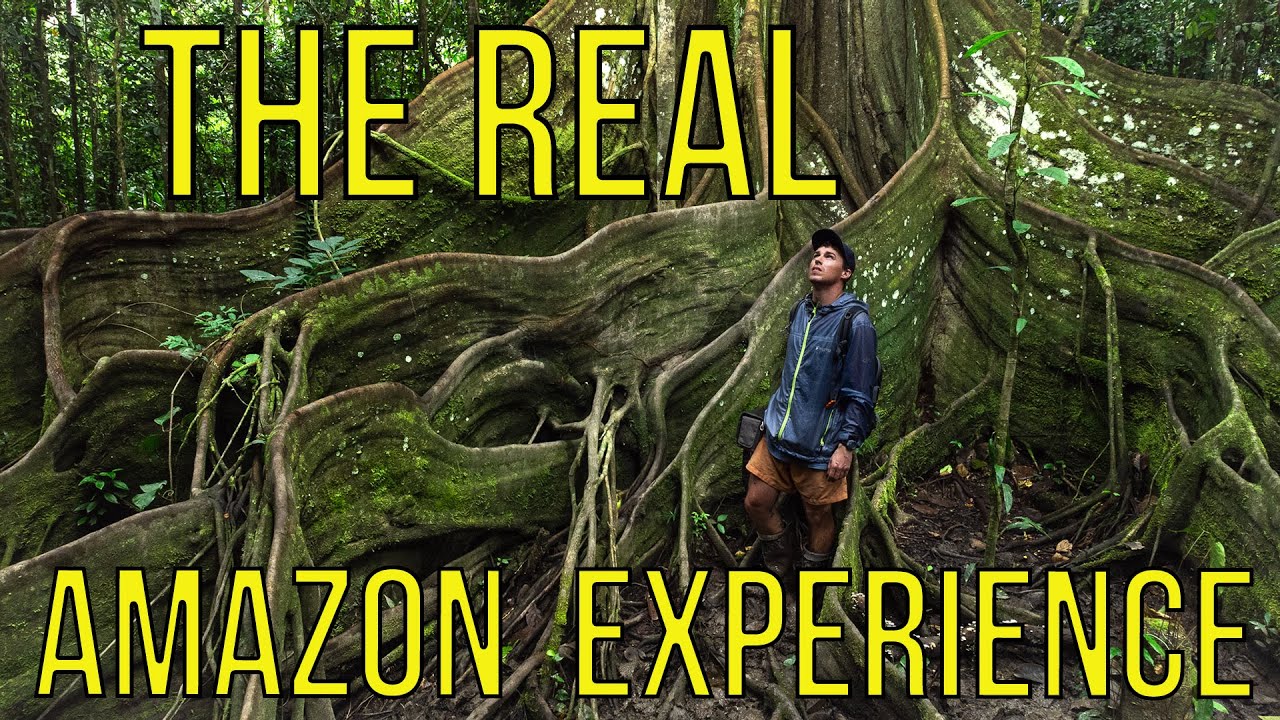 The Real Amazon Experience - YouTube