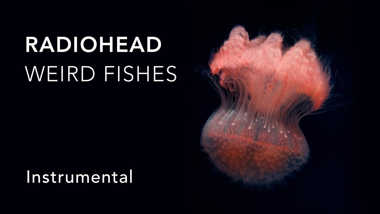 Radiohead - Weird Fishes (Instrumental Version) - YouTube