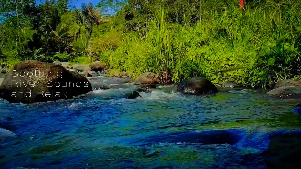 RELAXING RIVER SOUNDS FOR STRESS RELIEF, RIVER SOUNDS, WATER SOUNDS ...