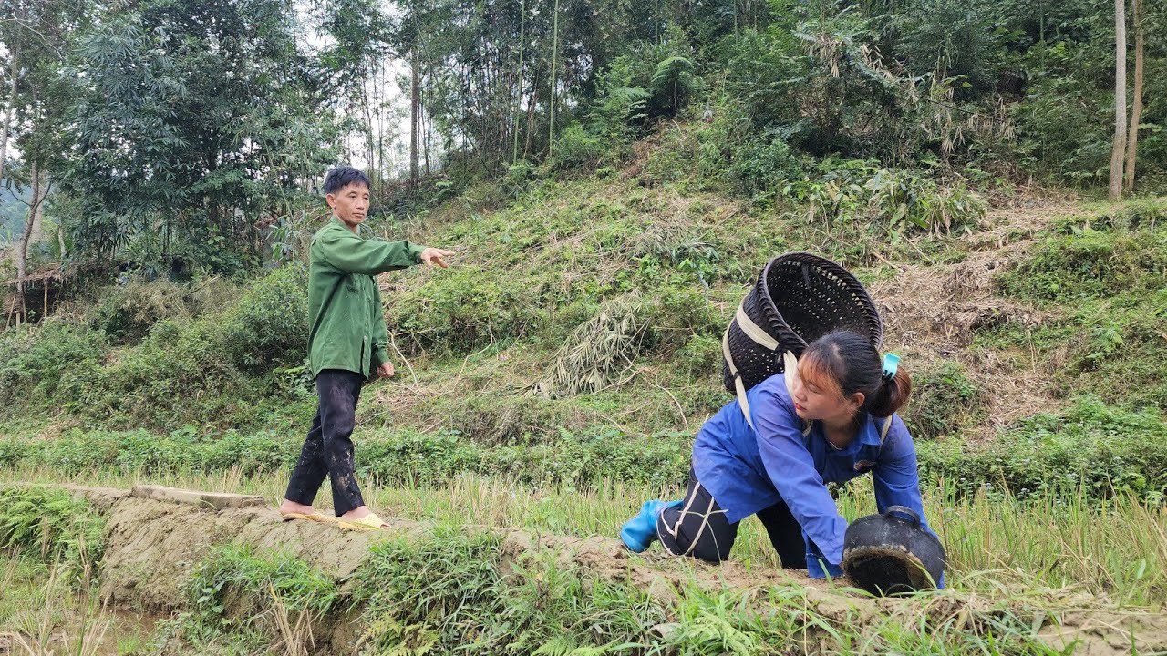 Make a house out of bamboo. The girl build a new house herself _Lý ...