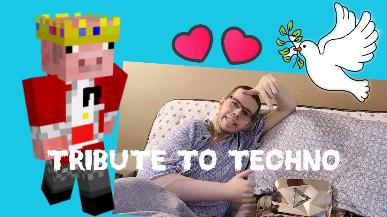 Tribute to Technoblade | So long nerds | See you again | Technoblade ...