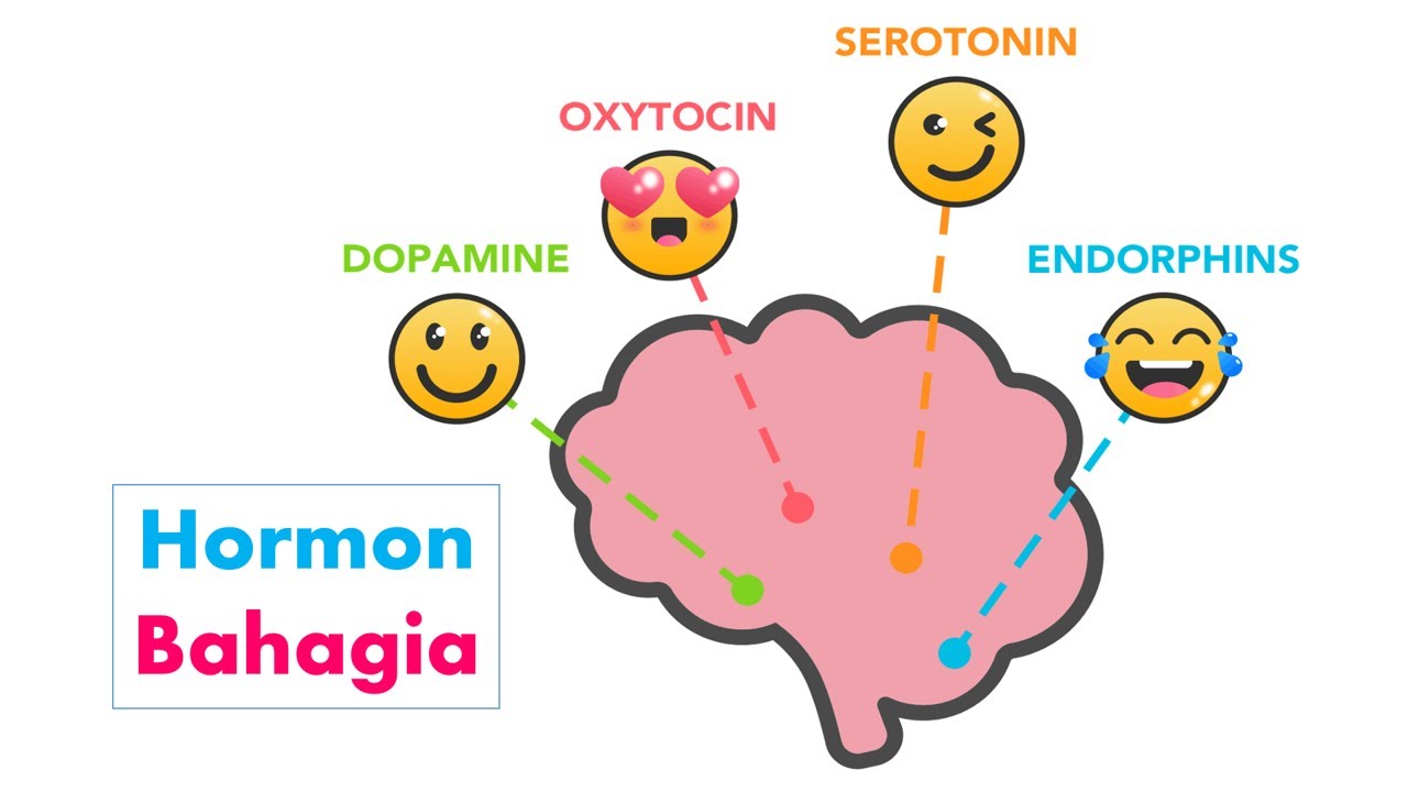 Hormon Bahagia (Happy Chemichals) - YouTube