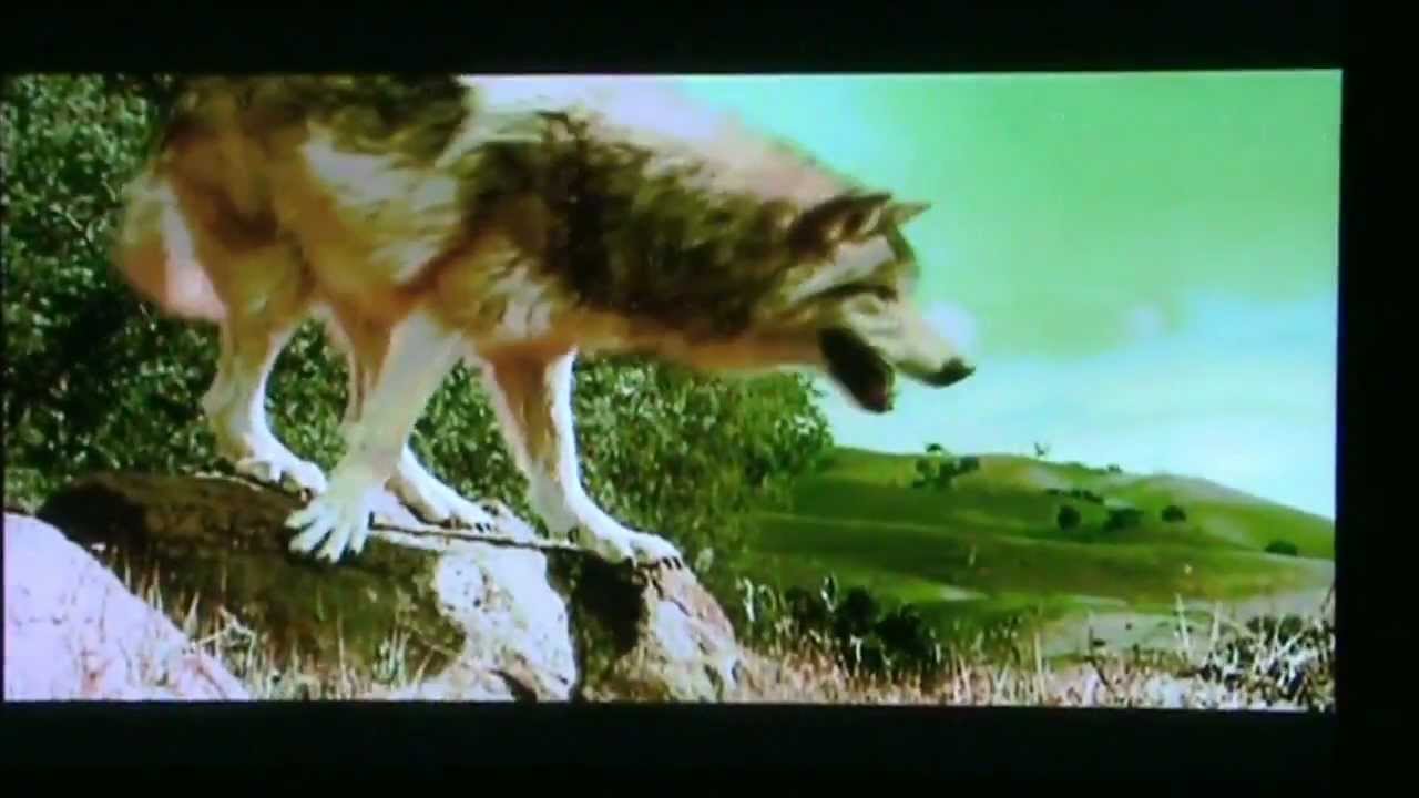 Wolf Commercial-For Warrior Nation. - YouTube
