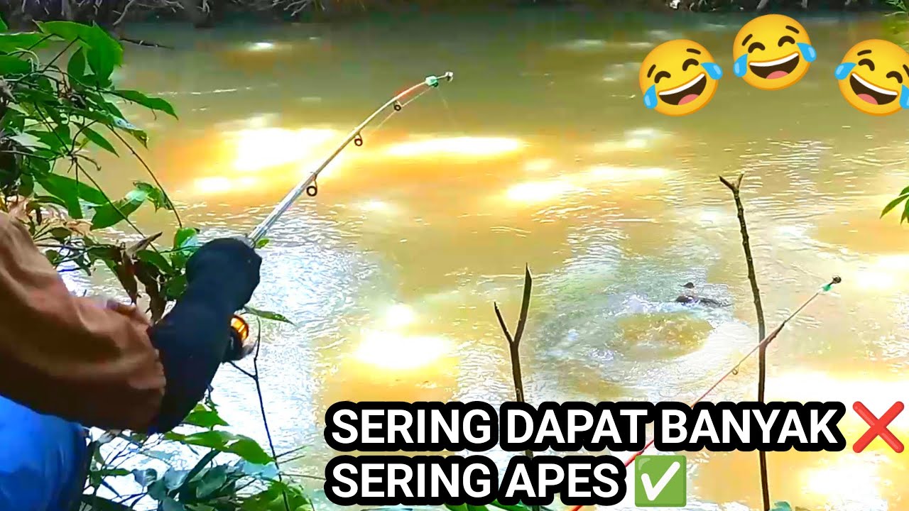 Mancing ikan di sungai,, hasilnya diluar dugaan 😲 - YouTube