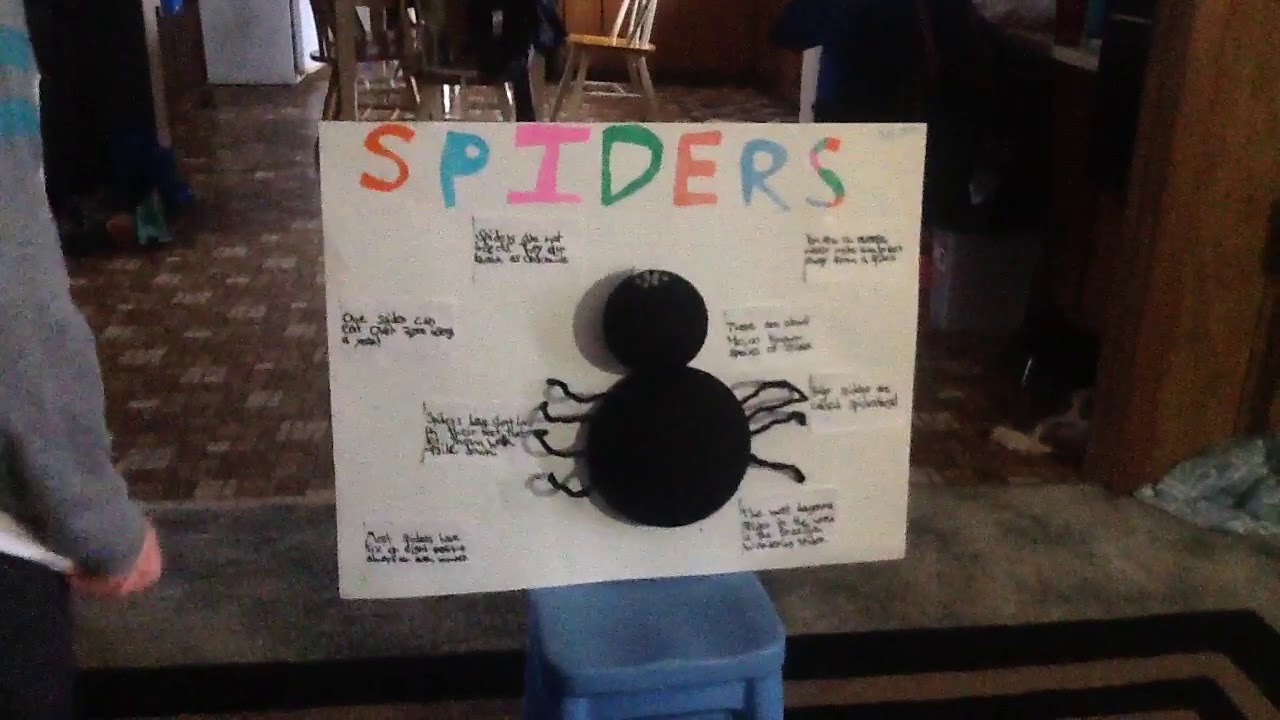 SPIDER PRESENTATION - YouTube