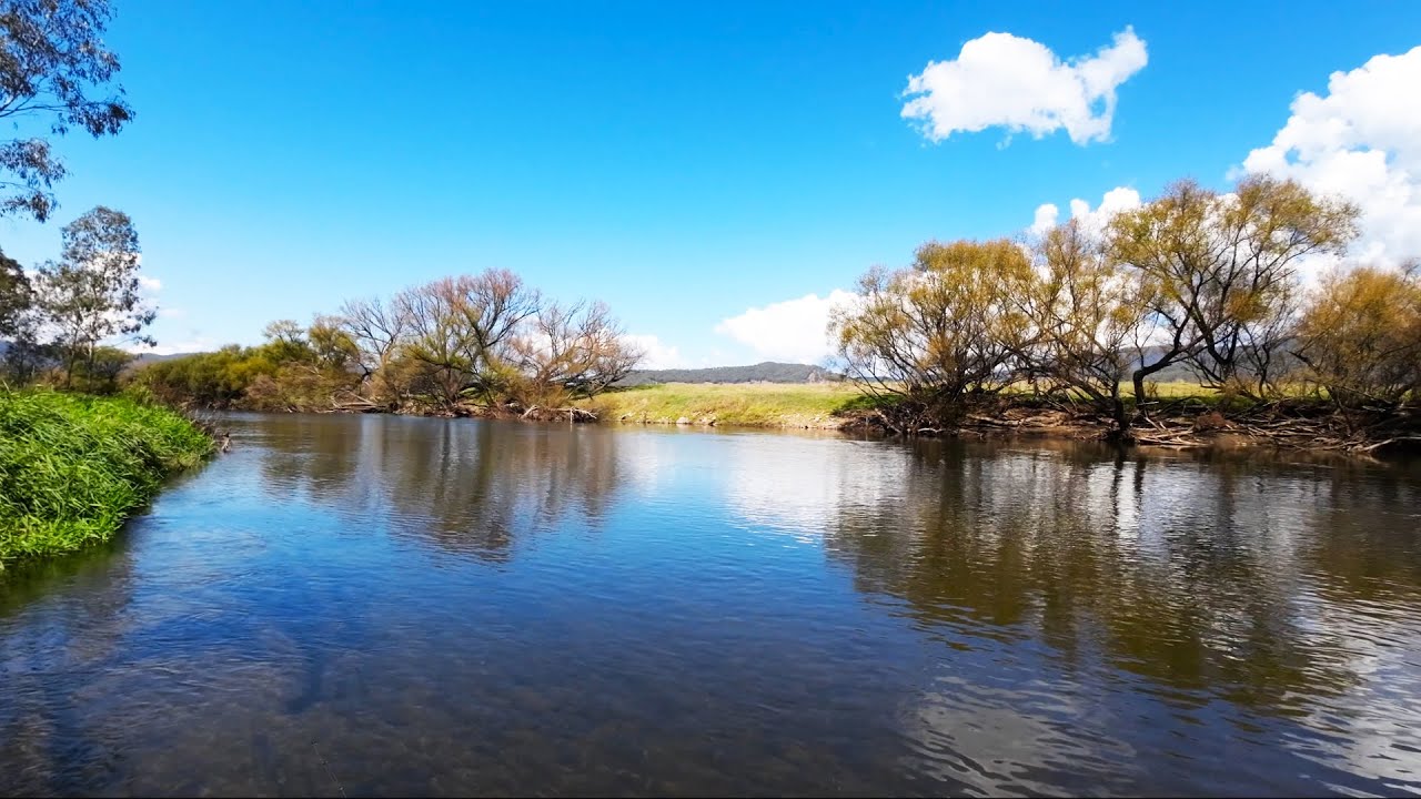 Fishing the Mitta Mitta River and Snowy Creek fishing with the Riz ...