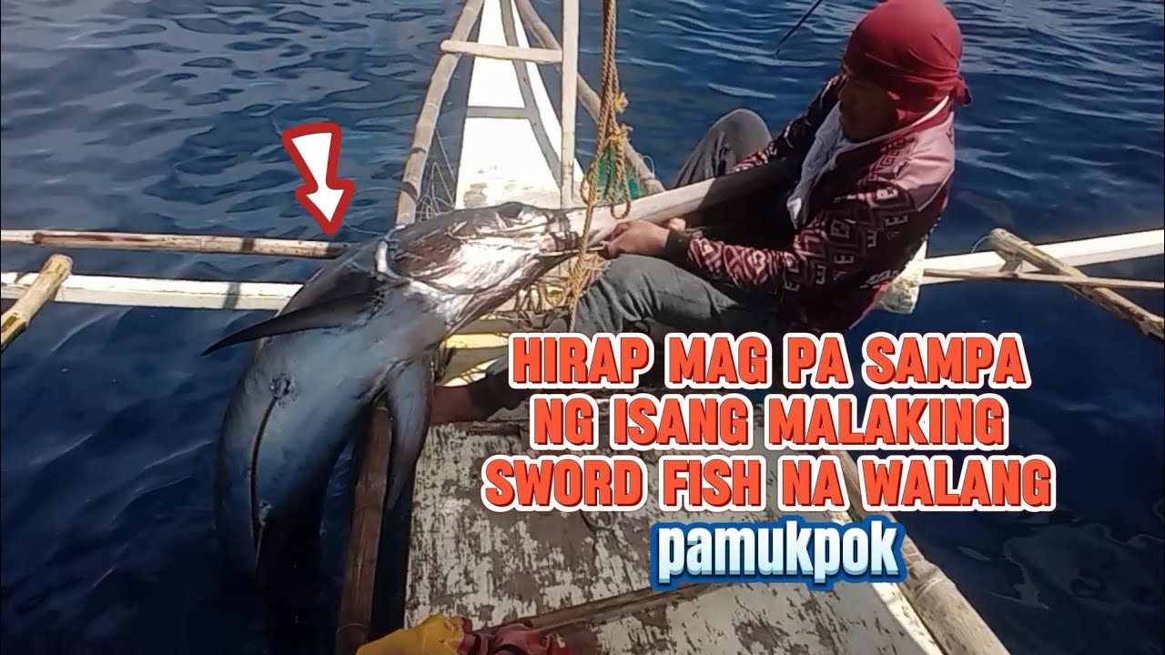 Ang laki ng SwordFish pahirapan pa sa pag sampa dahil na putol ang ...