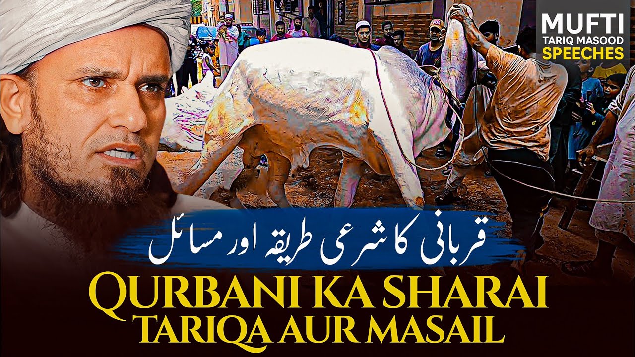 Qurbani Ka Sharai Tariqa Aur Masail | Mufti Tariq Masood Speeches 🕋 ...