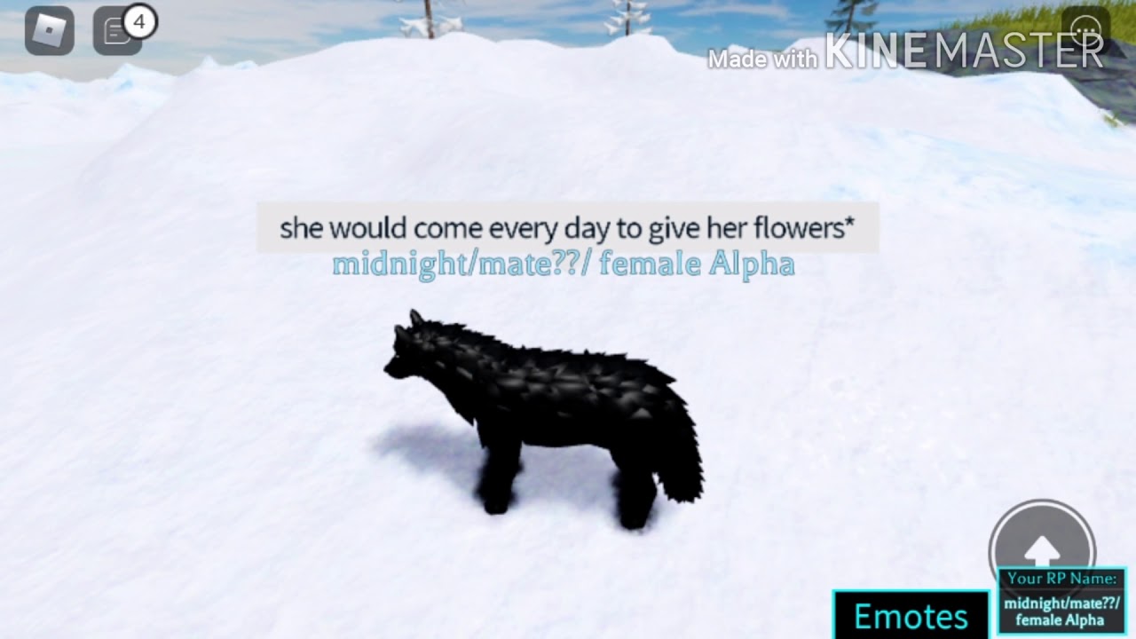 A roblox sad wolf story - YouTube