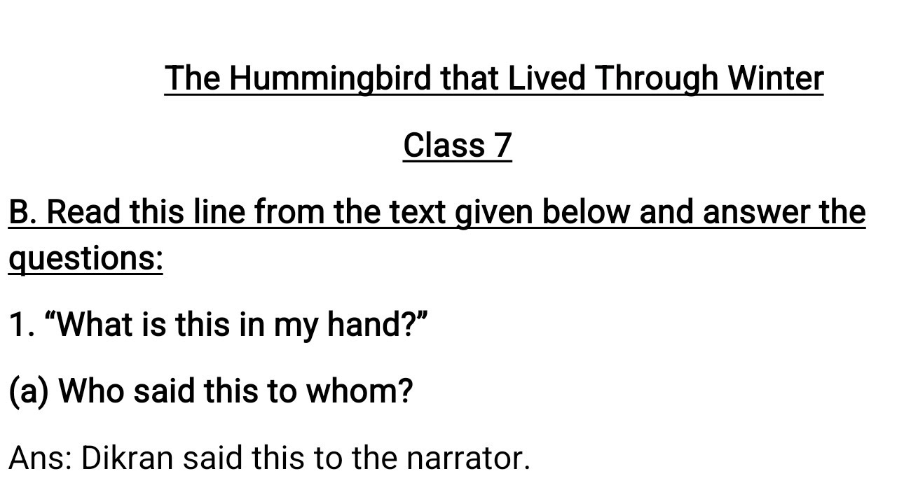 The Hummingbird That Lived Through Winter Class 7 Questions Answers the-hummingbird-that-lived-through-winter-class-7-questions-answers