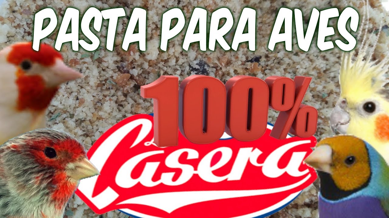 PASTA PARA AVES 100 % CASERA - YouTube