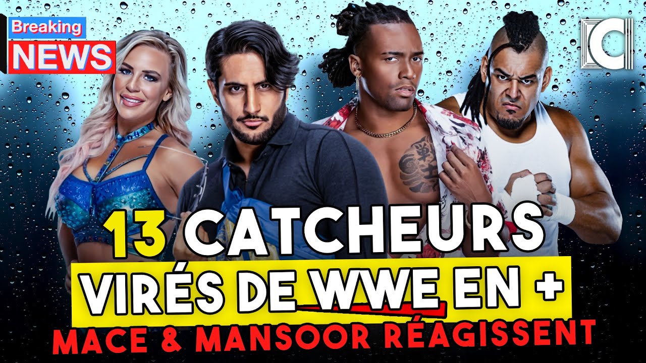 13 CATCHEURS DE WWE LICENCIÉS EN PLUS ET DES EXPLICATIONS - YouTube