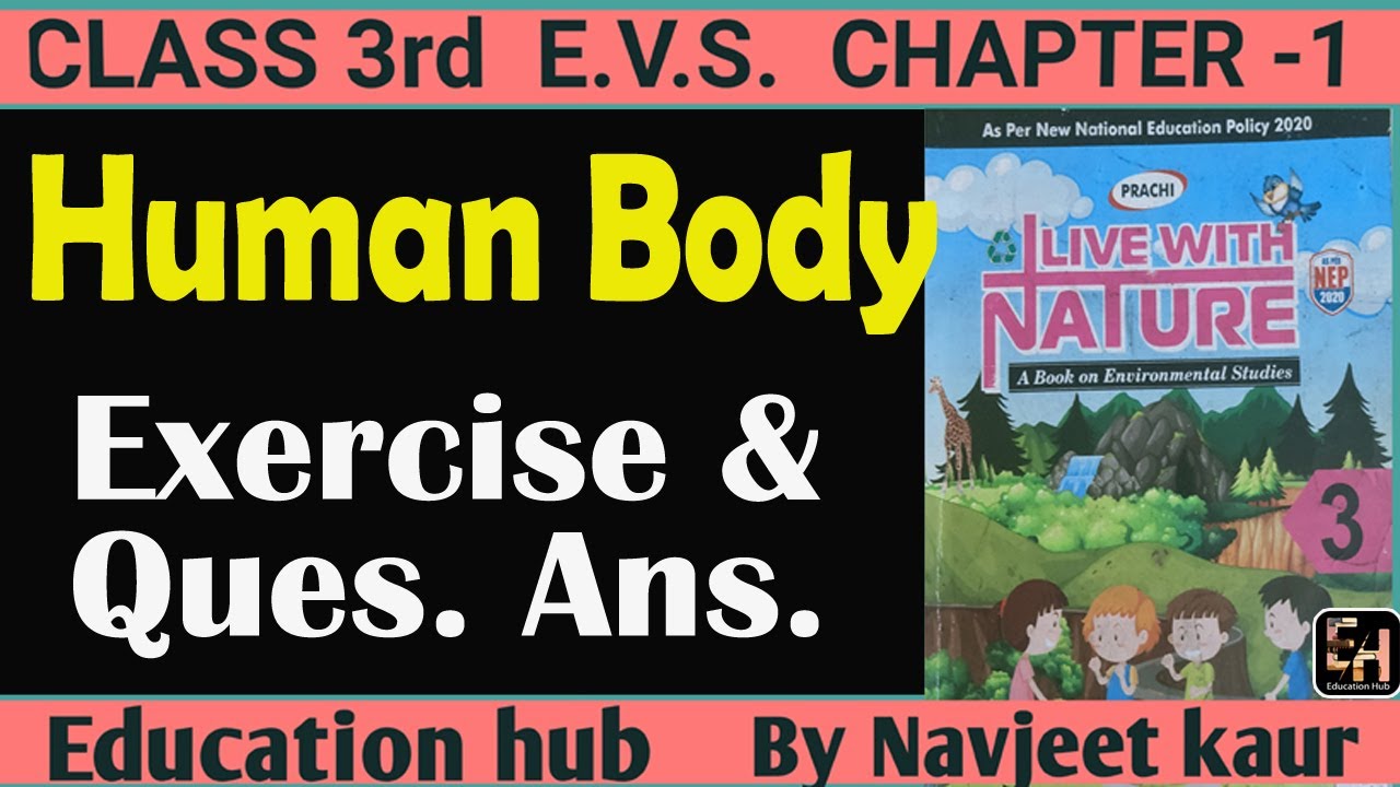 HUMAN BODY | Question and answer | CLASS 3RD E.V.S.| CHAPTER 1 ...
