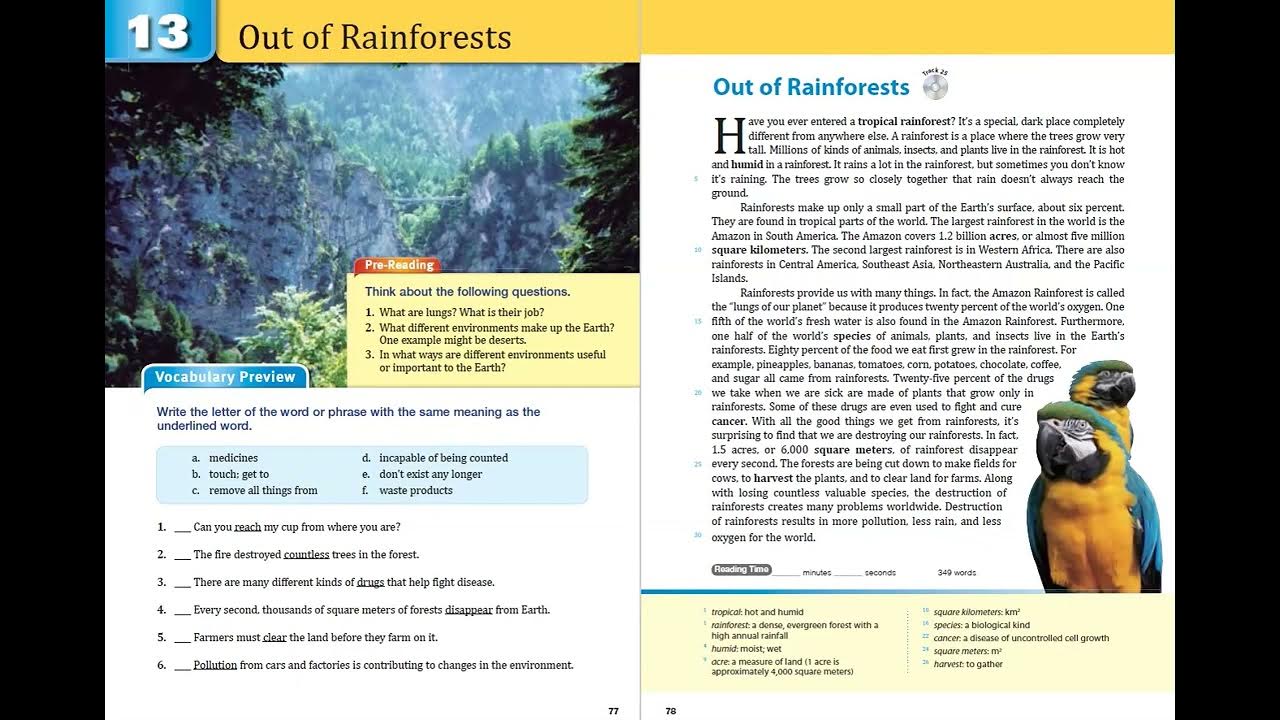 Unit 13 Out of Rainforests - YouTube